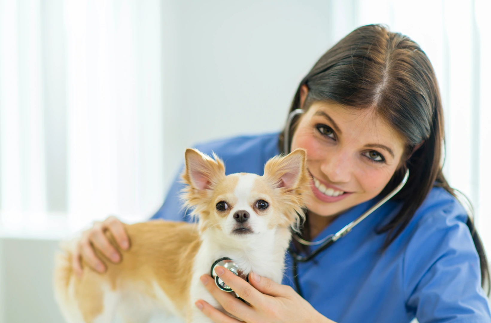 Veterinary Practice Financing | Veterinarian SBA Loan
